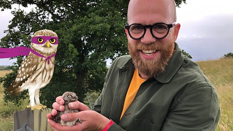 CBeebies - Teeny Tiny Creatures, Series 3 - Chantelle and Rory, Little Owls