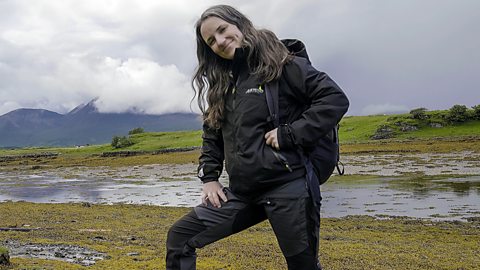 BBC Two Northern Ireland - Schedules