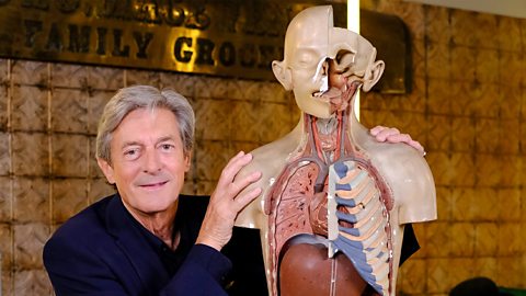 BBC One - The Bidding Room, Series 4 - Episode guide