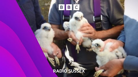 BBC Radio Surrey - Kevin Duala