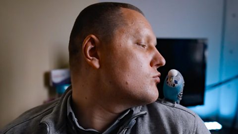 BBC One - Jailed: Inside Maghaberry Prison - Available now