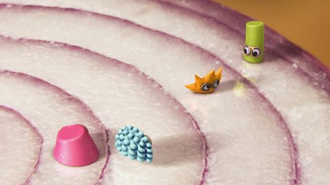 CBeebies - Tiny Wonders, Series 2, Red Onion