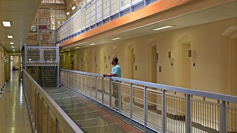 BBC Radio 4 - The Law Show