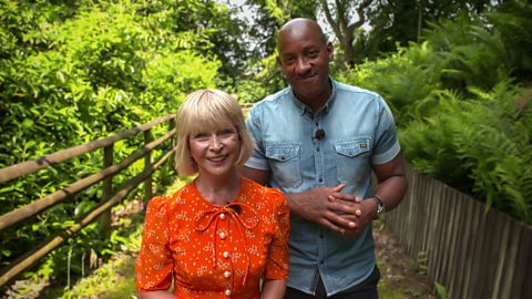 BBC One - Homes Under the Hammer