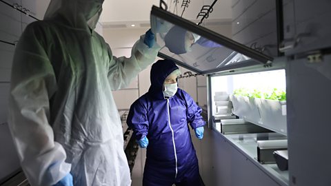 BBC News - TechXplore