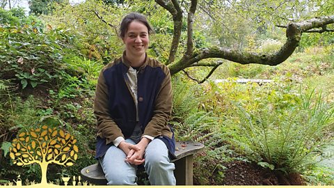 BBC Two - Gardeners' World