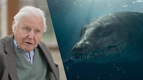 BBC One - Attenborough and the Giant Sea Monster