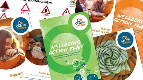 BBC Radio 4 - Radio 4 Appeal, The Charlie Waller Trust