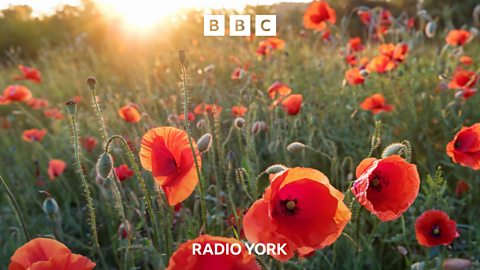 North Yorkshire | Latest News & Updates | BBC News