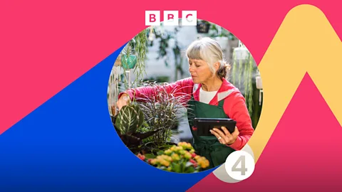 BBC Audio | Money Box | Money Box Live: Budget Special