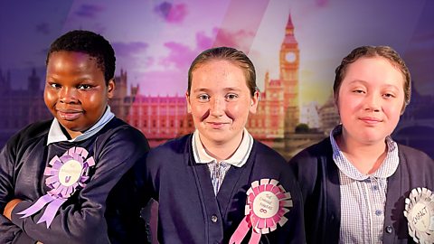 Rosy Maple Moth: The milkshake moth and other winged beauties - BBC ...