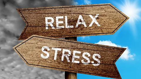 BBC Audio | Thought for the Day from Radio Ulster | Dr Ciara ...