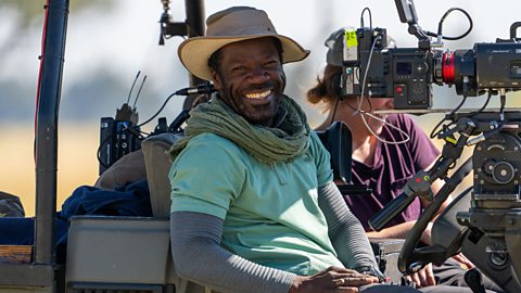 BBC Two - Big Cats 24/7 - Anna Dimitriadis