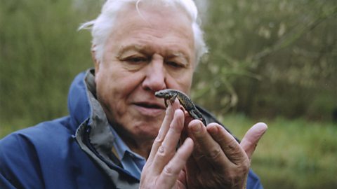 BBC - History of the BBC, The Money Programme 5 April 1966