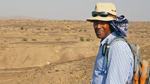 BBC World Service - Witness History, Ardi: The oldest skeleton of a ...