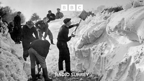 Surrey | Latest News & Updates | BBC News