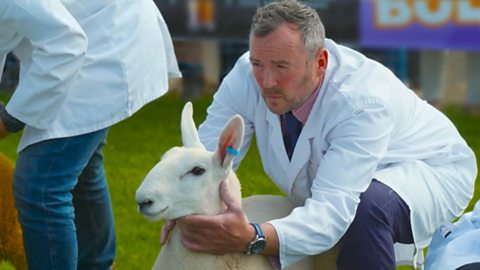 BBC Two - This Farming Life, Series 7