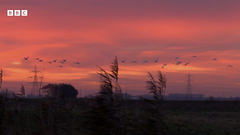 BBC One - Countryfile