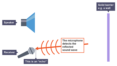 What are echoes and sonar? - BBC Bitesize
