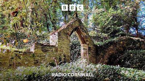 Cornwall | Latest News & Updates | BBC News