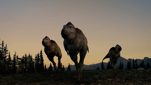 BBC One - Walking With Dinosaurs
