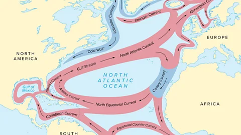 BBC Audio | Science In Action | Make science great again