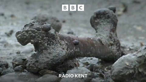 Kent | Latest News & Updates | BBC News