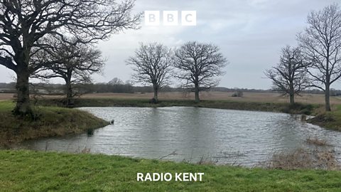 Kent | Latest News & Updates | BBC News