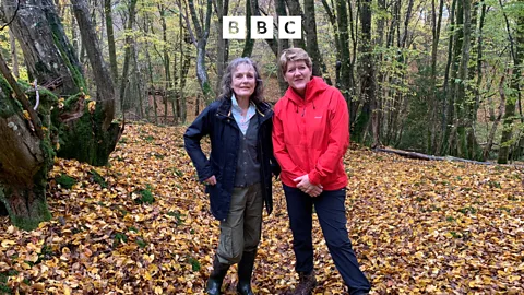 BBC Audio | Ramblings | Adventurer Pom Oliver in the Low Weald