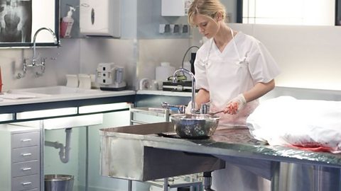 BBC One - Silent Witness - Post Mortem