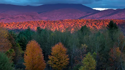 Adirondack Park New York 7,400+ Adirondack Park Stock Photos, Pictures