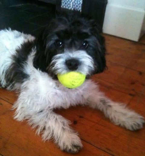 BBC Three - Be Your Own Boss - MixPixie