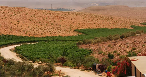The Negev desert wine route