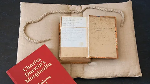 The greatest historical journeys