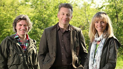BBC Two - Springwatch in the Afternoon