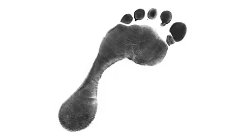 How big is your carbon footprint?