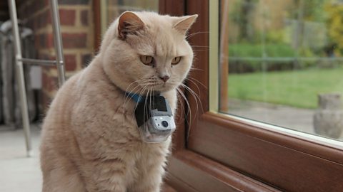 BBC Blogs - Technology + Creativity at the BBC - Developing the camera ...