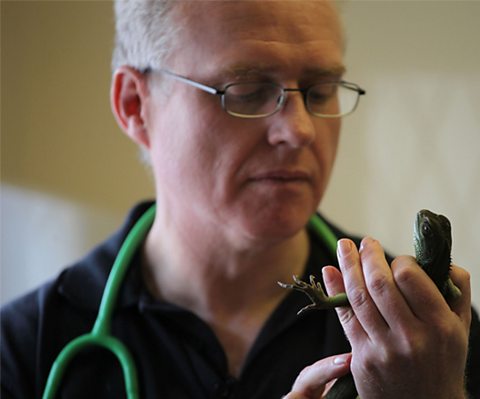 BBC One - Vets 24/7, Series 2 - Lance Jepson