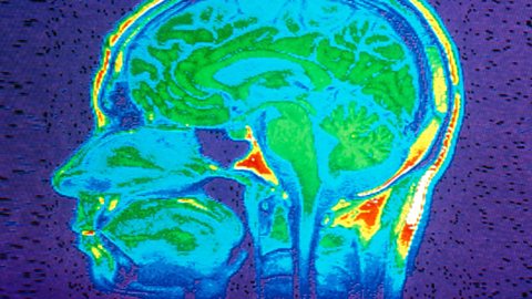 BBC Radio 4 - The Life Scientific, Daniel Dennett on the evolution of ...