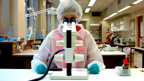 BBC One - Crime Scene Forensics