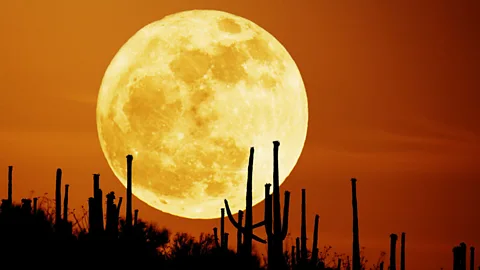 Does a full moon make people mad?
