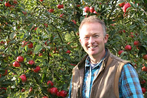 BBC Two - Great British Garden Revival, Series 1 - Toby Buckland