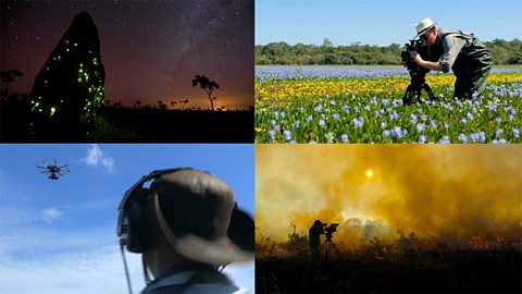 BBC Two - Wild Brazil