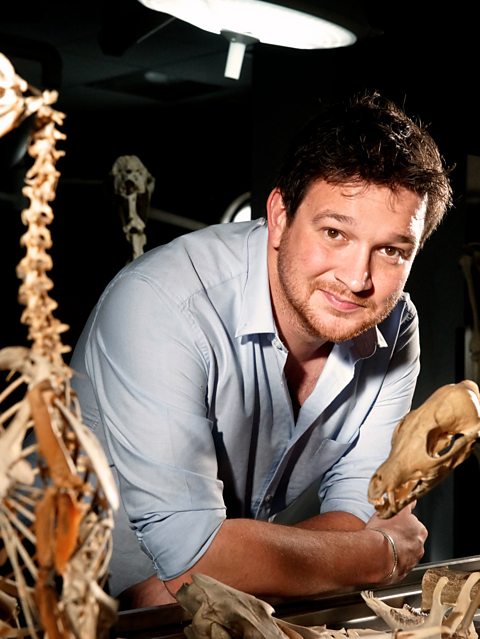 BBC Four - Secrets of Bones - Ben Garrod