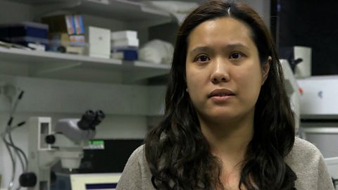 BBC One - Bang Goes the Theory - Careers in Science