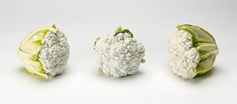 BBC Four - The First Georgians: The German Kings Who Made Britain ...