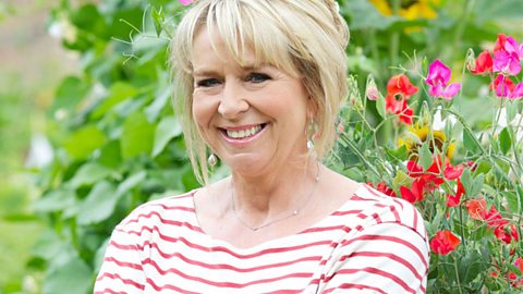 BBC Two - The Big Allotment Challenge, Series 1