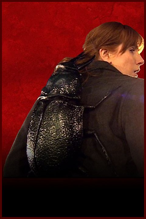 BBC One - Doctor Who (2005–2022), Series 4 - The Trickster's Brigade