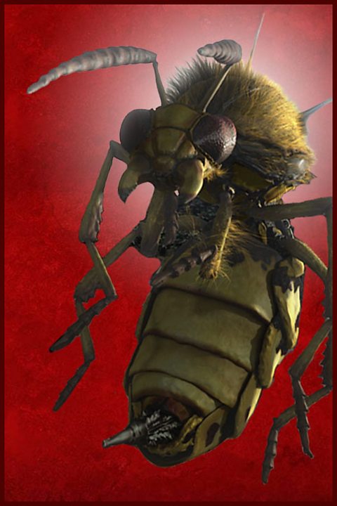 BBC One - Doctor Who (2005–2022), Series 4 - The Vespiform