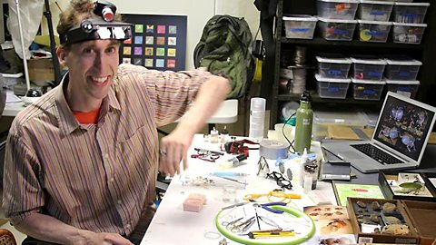 BBC One - Talk to the Animals - Meet the experts from episode 1